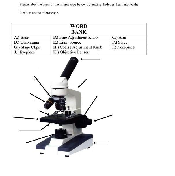 Solved Please label the parts of the microscope below by | Chegg.com