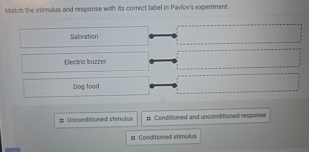 Solved Match the stimulus and response with its correct | Chegg.com
