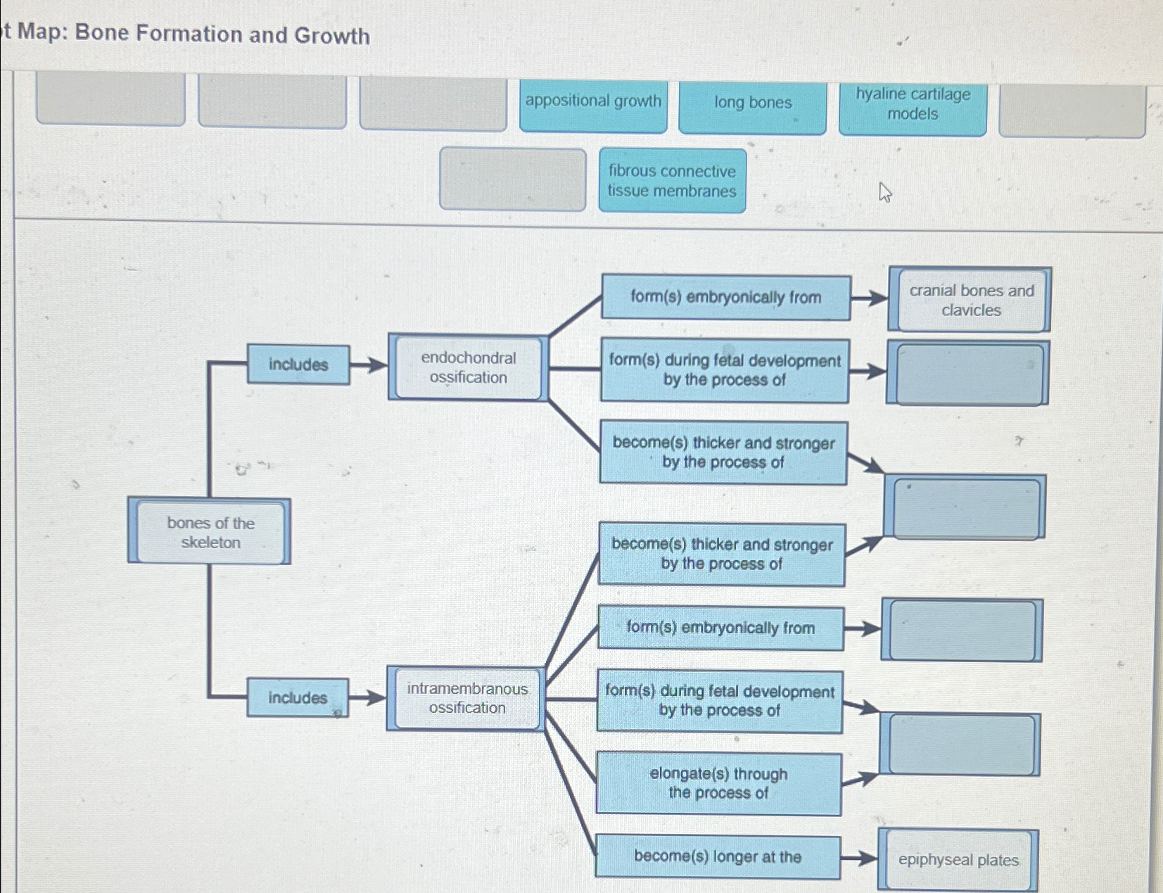 Solved t Map Bone Formation and Growthappositional | Chegg.com