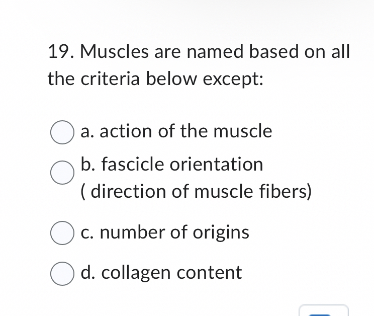 Solved Muscles are named based on all the criteria below | Chegg.com