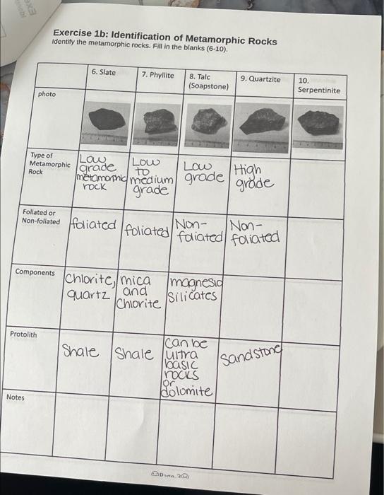 Solved obi EX Exercise 1b: Identification of Metamorphic | Chegg.com