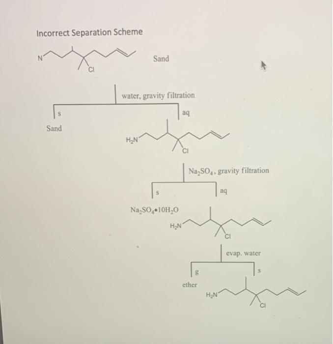 Solved On a page titled Correct Separation Scheme print/draw | Chegg.com