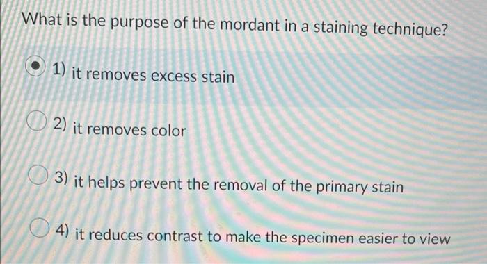 Solved What is the purpose of the mordant in a staining | Chegg.com