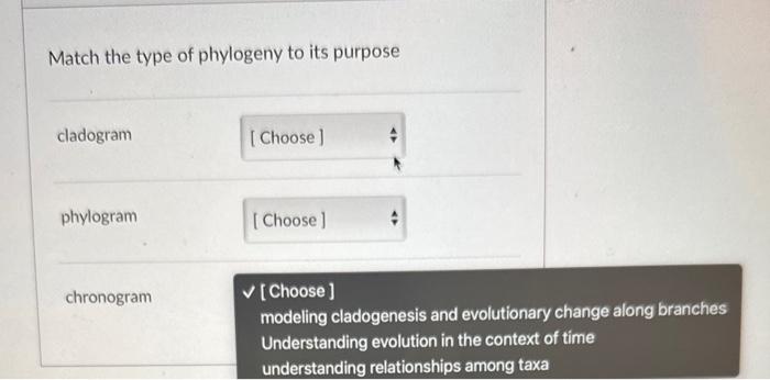 Solved Match the type of phylogeny to its purpose cladogram | Chegg.com