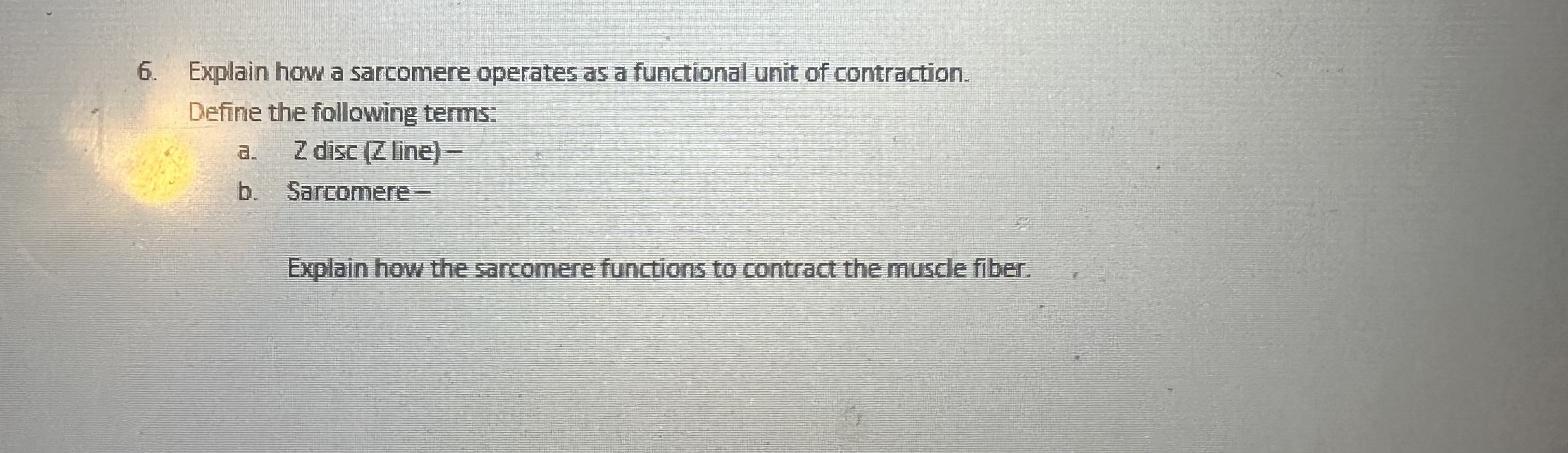 Solved Explain how a sarcomere operates as a functional unit | Chegg.com
