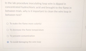 Solved In the lab procedure inoculating loop wire is dipped | Chegg.com