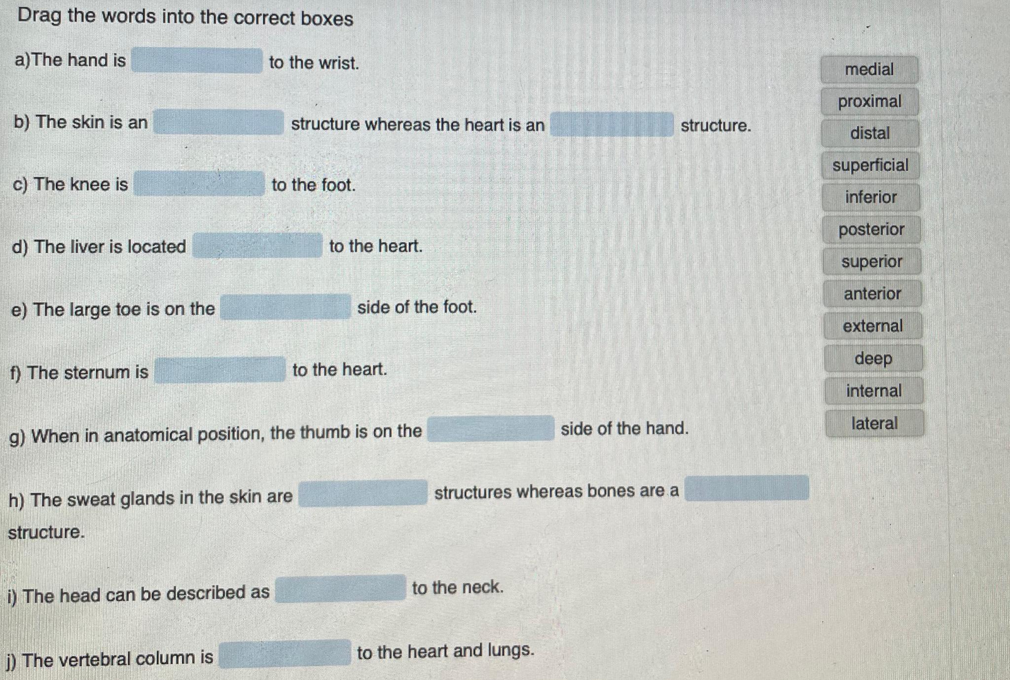 Solved Drag the words into the correct boxesa)The hand is to | Chegg.com