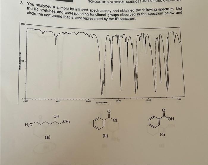 Solved SCHOOL OF BIOLOGICAL SCIENCES the IR stretches and | Chegg.com