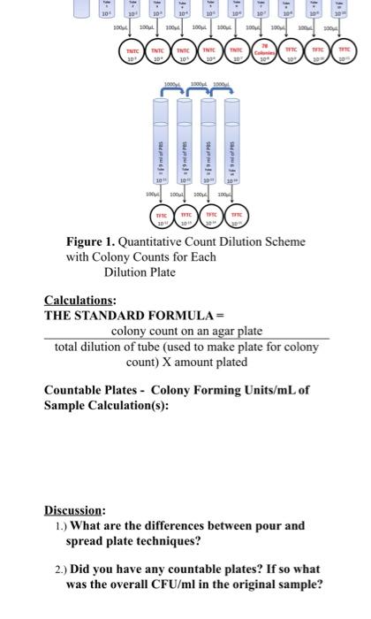 Experiment 7: Quantitative Plate Counts Purpose: | Chegg.com