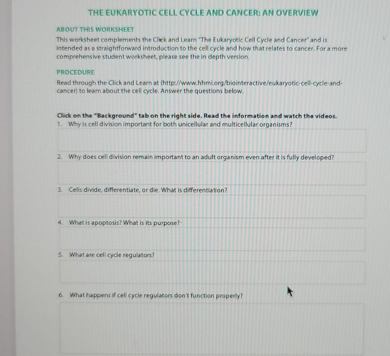 Solved THE EUKARYOTIC CELL CYCLE AND CANCER AN OVERVIEW Chegg