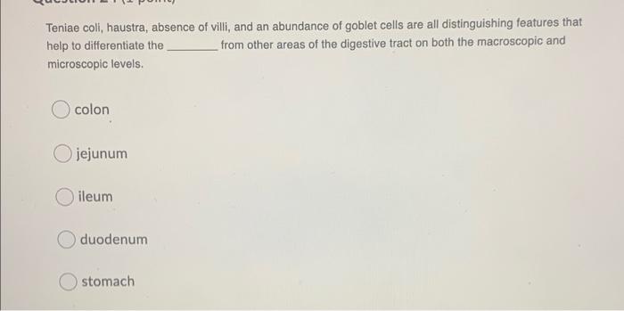 Solved Teniae coli, haustra, absence of villi, and an | Chegg.com