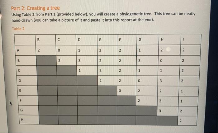I need help with these bottom questions.Also this is | Chegg.com