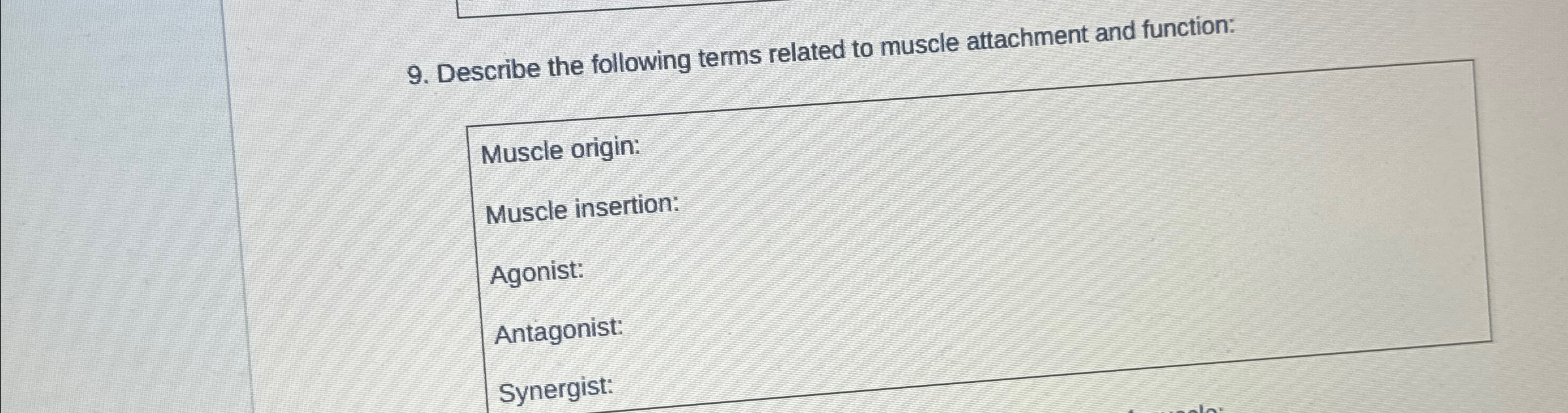 Solved Describe the following terms related to muscle | Chegg.com
