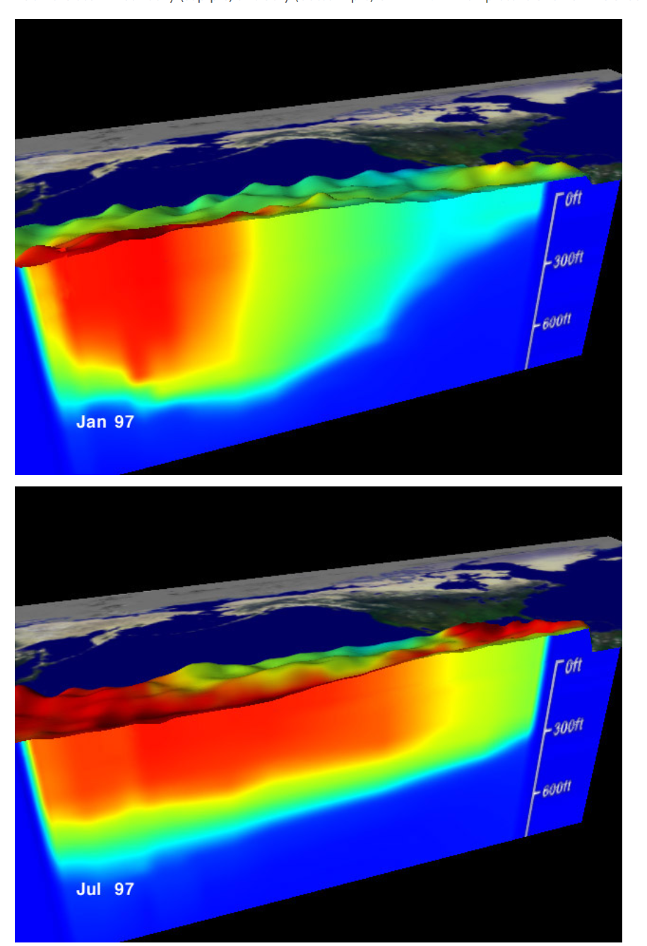 Solved The thermocline is a boundary in the ocean that | Chegg.com