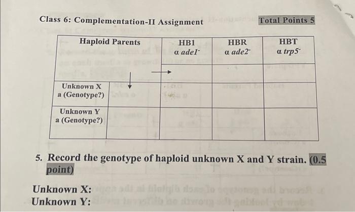 Solved Class 6: Complementation-II Assignment Total Points 5 | Chegg.com