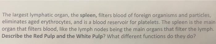 Solved The largest lymphatic organ, the spleen, filters | Chegg.com