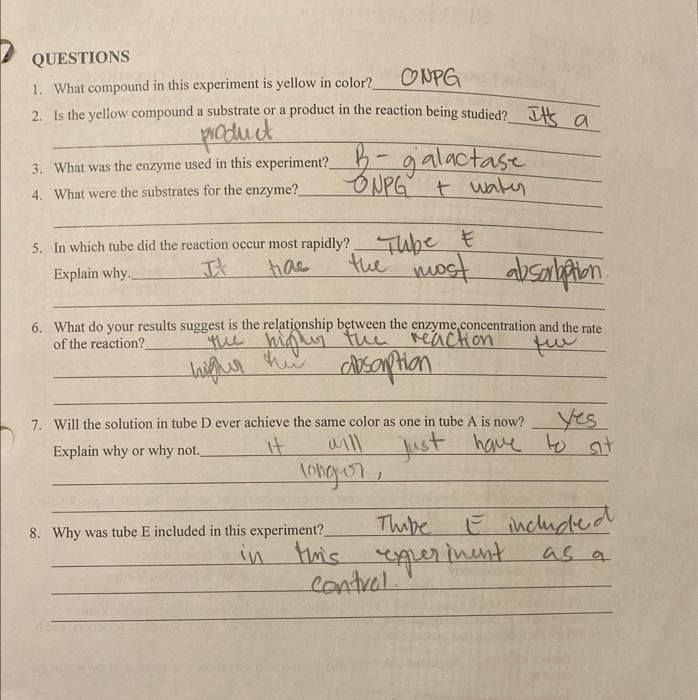 Solved EXPERIMENT I (3) Staich stach twater glucose t | Chegg.com