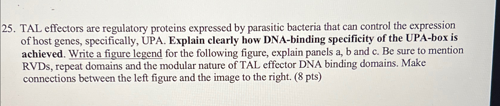 TAL effectors are regulatory proteins expressed by | Chegg.com