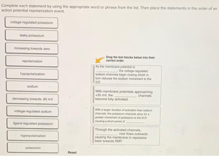 Solved Complete each statement by using the appropriate word | Chegg.com