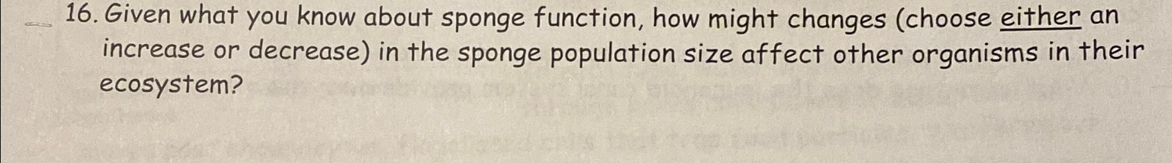 Solved Given what you know about sponge function, how might | Chegg.com
