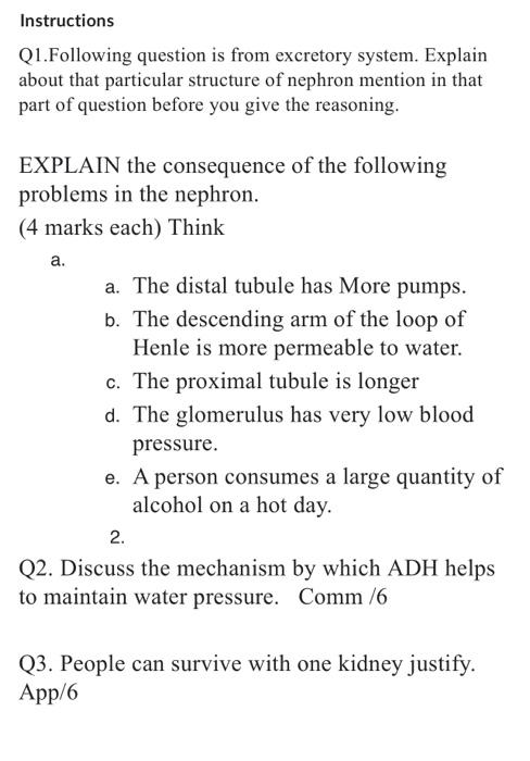 Solved Instructions Q1.Following question is from excretory | Chegg.com