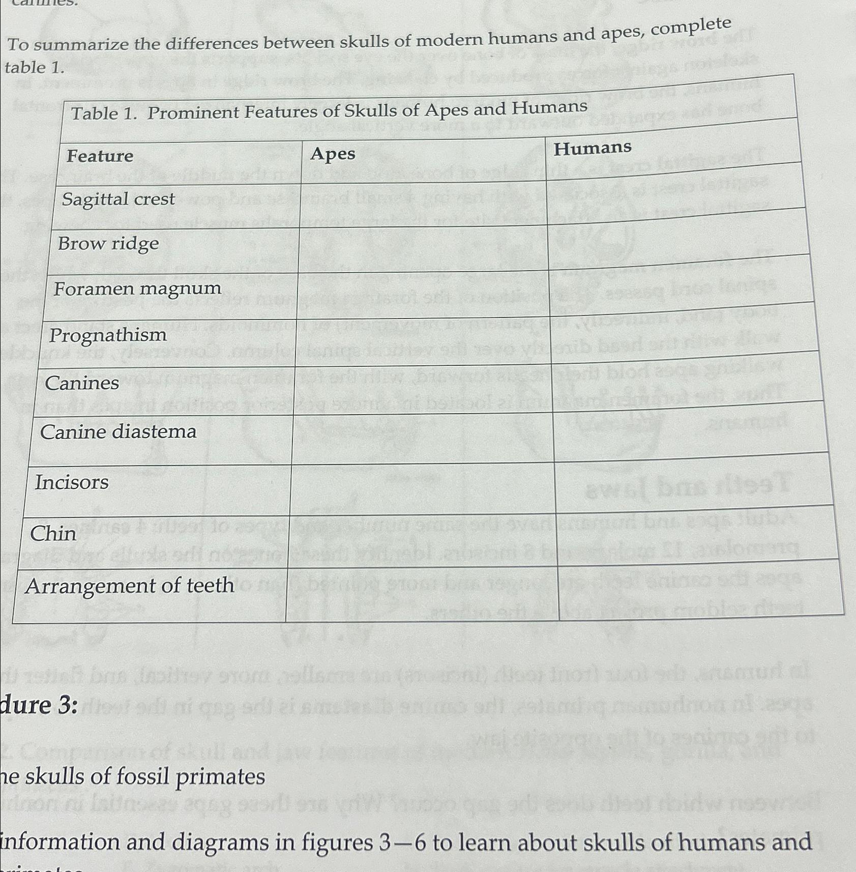 Solved To summarize the differences between skulls of modern | Chegg.com