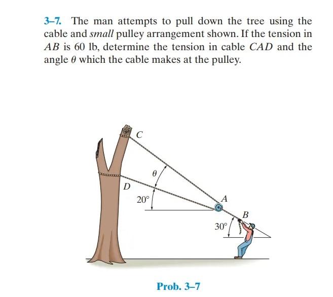 Solved 3–7. The man attempts to pull down the tree using the | Chegg.com