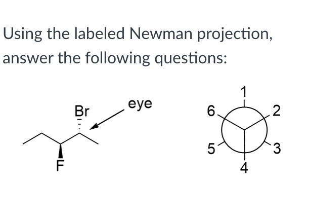 Using the labeled Newman projection,answer the | Chegg.com