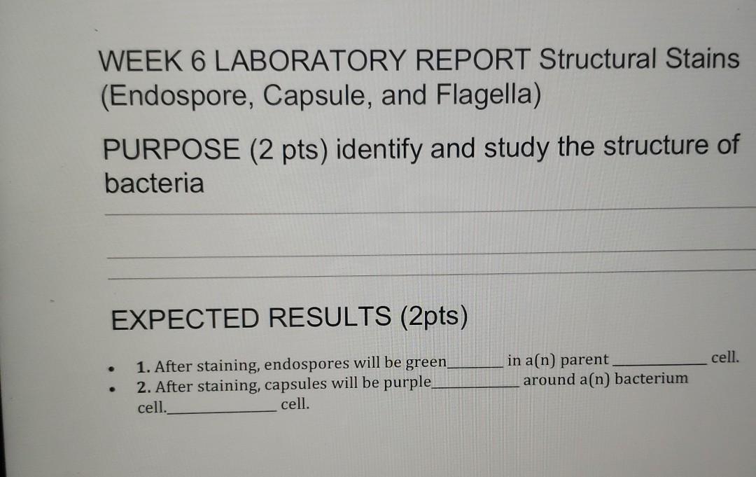 Solved WEEK O LABORATORY REPORT Structural Stains | Chegg.com