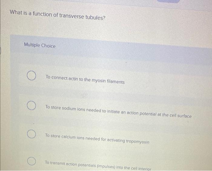 Solved What is a function of transverse tubules? Multiple | Chegg.com