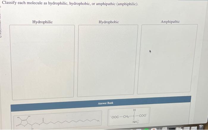 Solved Classify each molecule as hydrophilic, hydrophobic, | Chegg.com