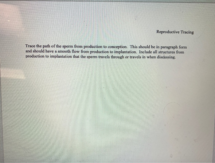 Solved Reproductive Tracing Trace the path of the sperm from | Chegg.com