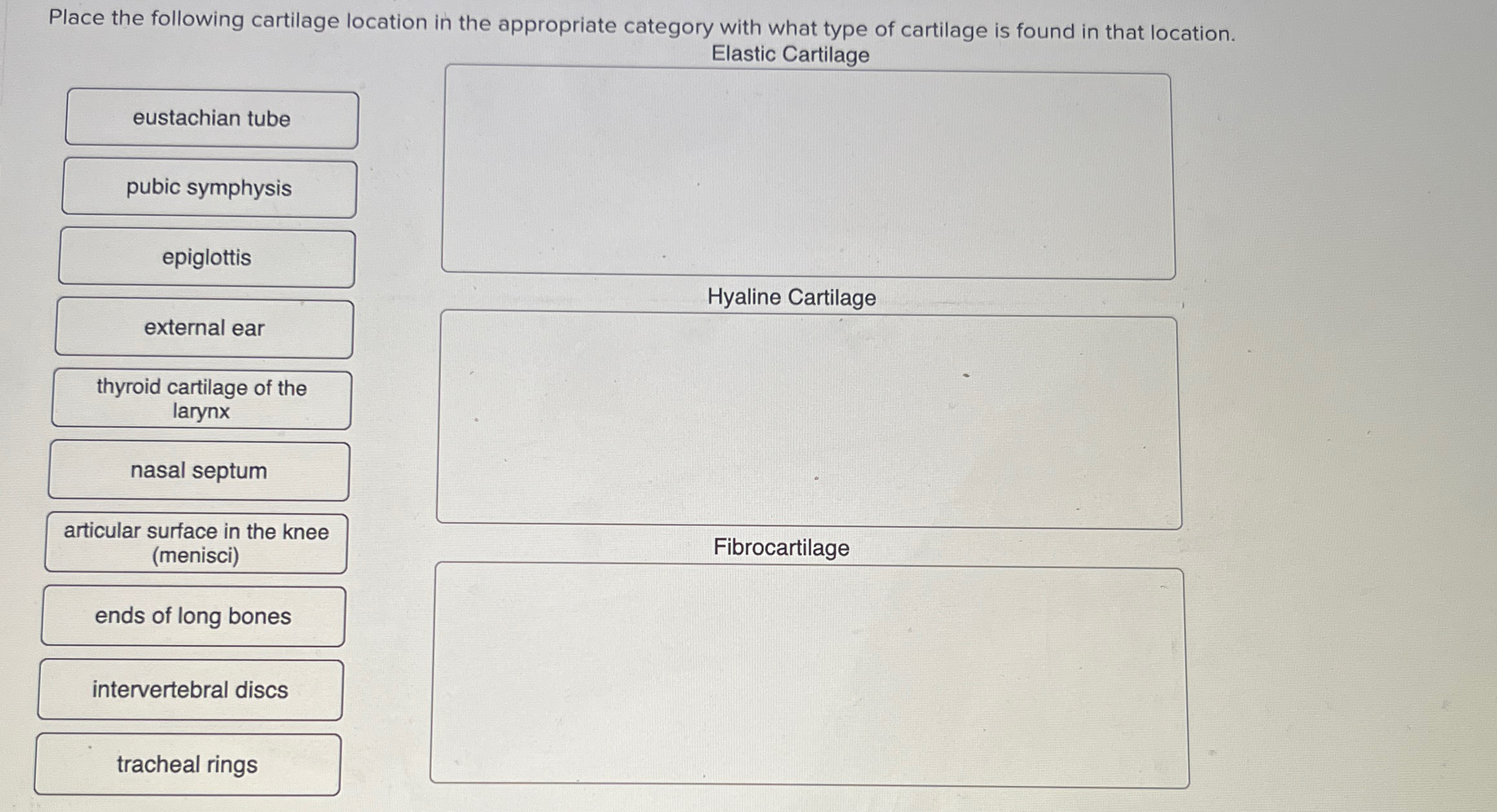 Solved Place the following cartilage location in the | Chegg.com