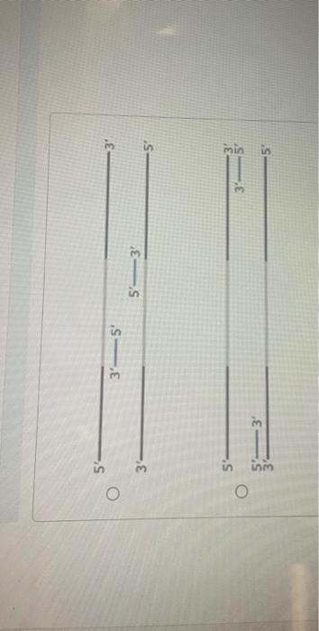 Solved Consider the double-stranded DNA molecule. below. Tha | Chegg.com