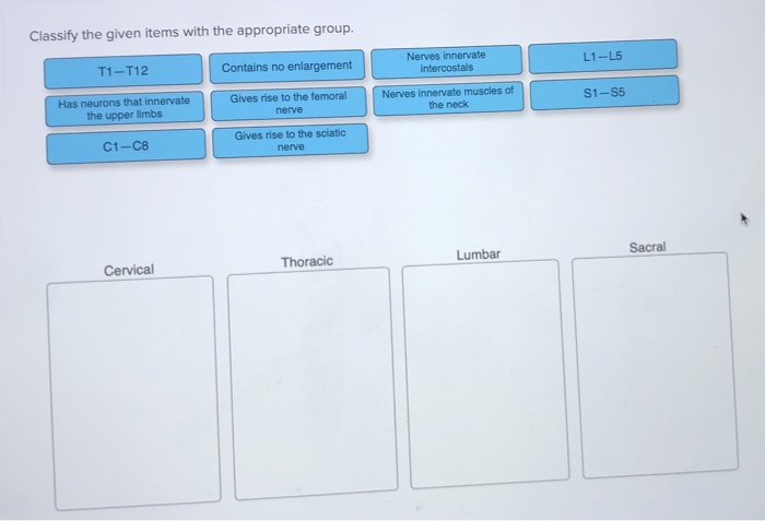 Solved Classify The Given Items With The Appropriate Group