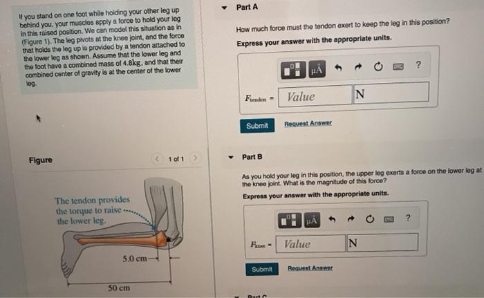 Solved Part A you stand on one foot while holding your other | Chegg.com