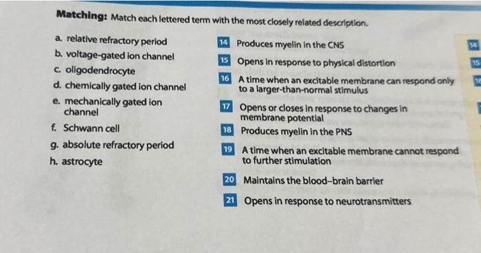 Solved Matching: Match each lettered term with the most | Chegg.com