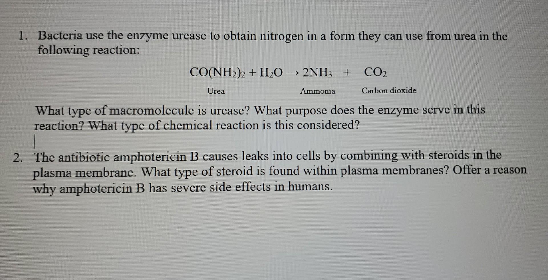 Solved 1. Bacteria use the enzyme urease to obtain nitrogen | Chegg.com