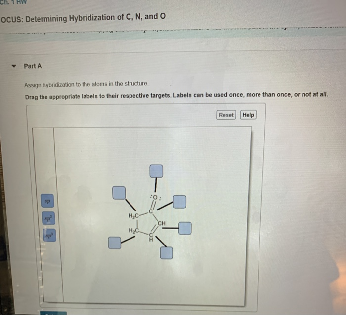 Solved ch. FOCUS: Determining Hybridization of C, N, and O | Chegg.com
