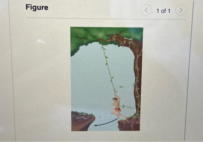 Solved Turzan plans to croes a gorge by swinging in an arc | Chegg.com