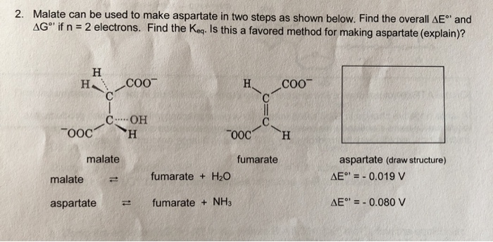 Solved 2. Malate can be used to make aspartate in two steps | Chegg.com