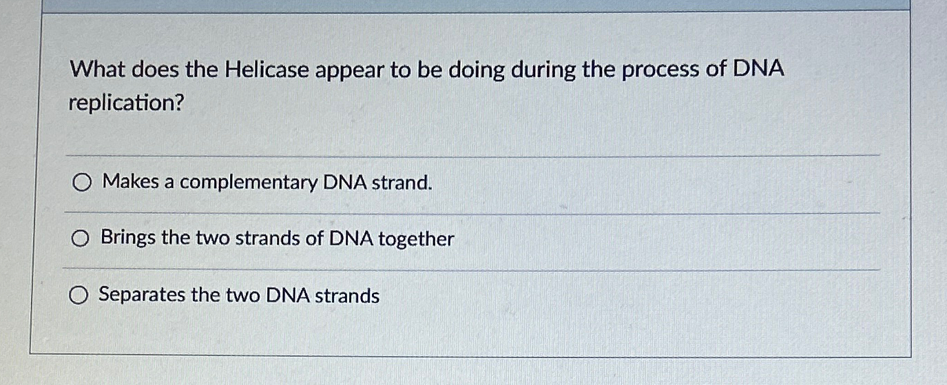 What does the Helicase appear to be doing during the | Chegg.com