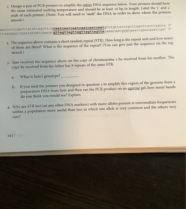 Solved 1. Design a pair of PCR primers to amplify the entire | Chegg.com