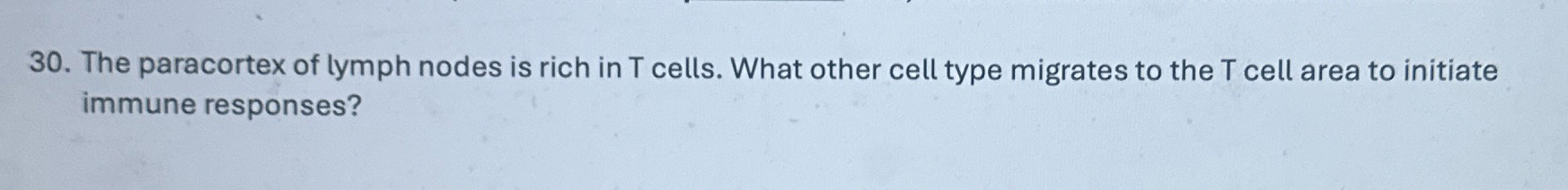 [Solved]: The paracortex of lymph nodes is rich in T cells.
