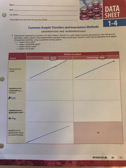 Name Date Lab Section DATA SHEET 1-4 I was present | Chegg.com