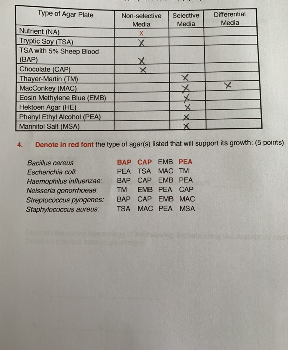 Solved Type of Agar Plate Non-selective Media х Selective | Chegg.com