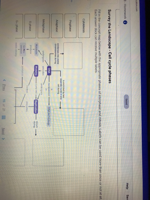 Solved acation.com Seved Help Sav B-Homework Survey the | Chegg.com