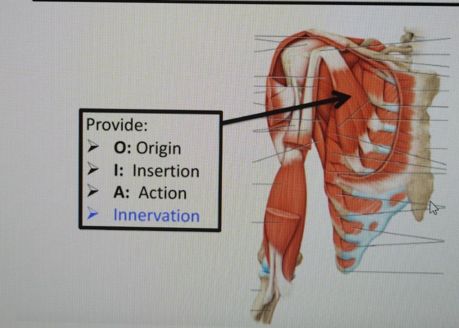 Solved tion 11 tation Name/recognize the | Chegg.com