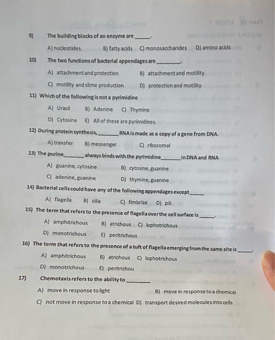 Solved 9) The building blocks of an enzyme are A) | Chegg.com