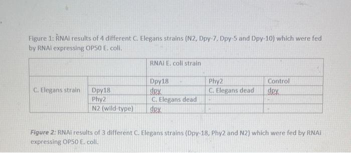 [Solved]: need help analysing data for c elegans-genetics Fi